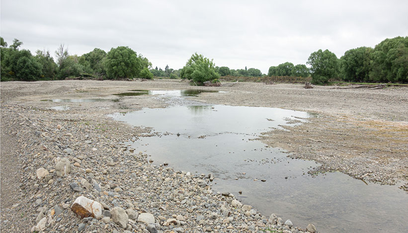 Survey of the lower part of the Okuku River: November 2019